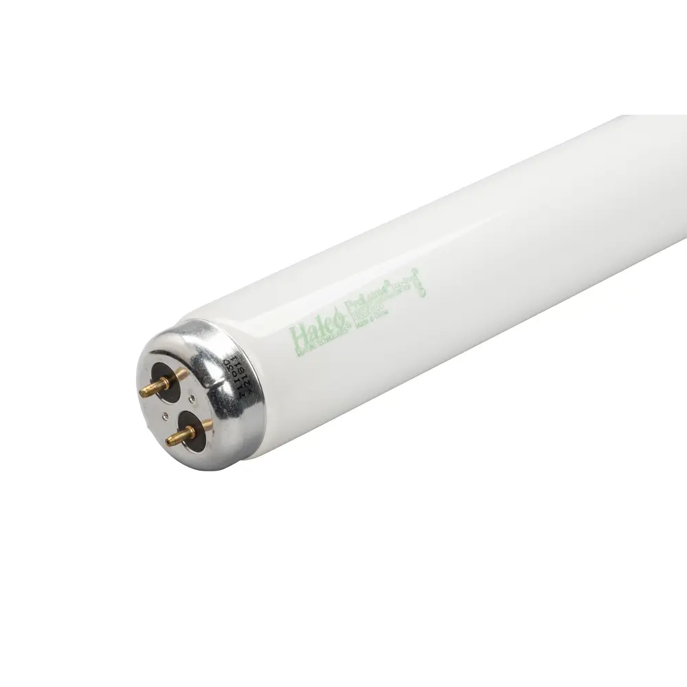 40 W 48 in. T12 Fluorescent Tube, 6500K