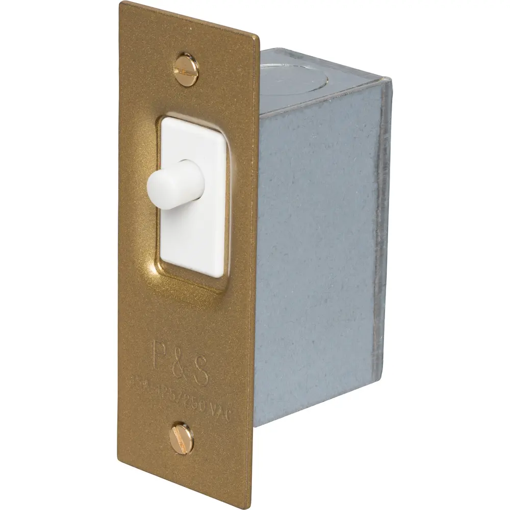 15A 120V Canopy Switch with Box