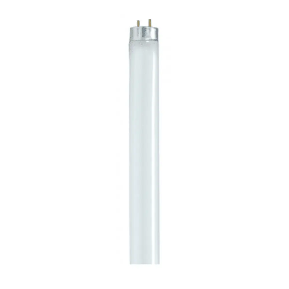 T8 Fluorescent Lamp, 4100K, Medium Bi Pin base, 17 Watts, Cool White