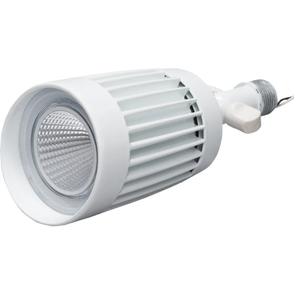 LED Lampholder, 10W, White