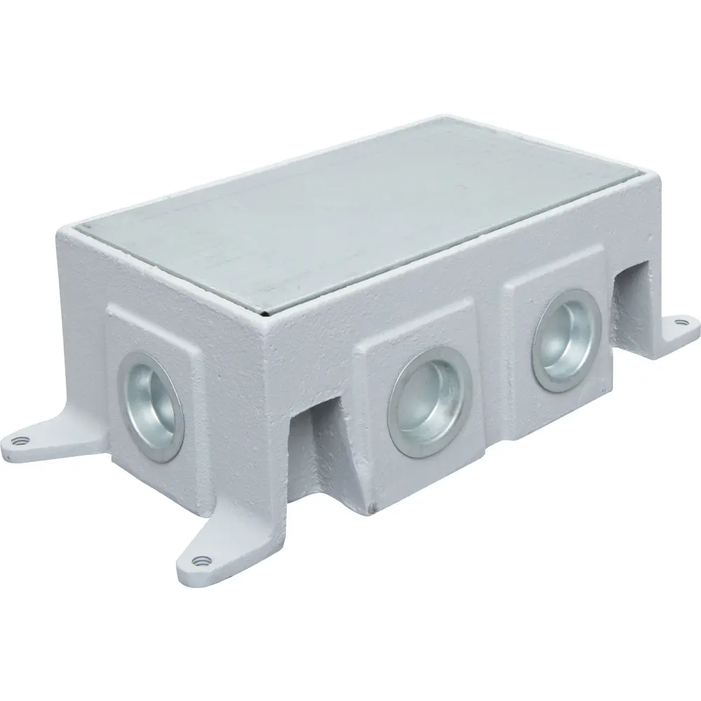 Omnibox® 2-Gang Cast-Iron Floor Box